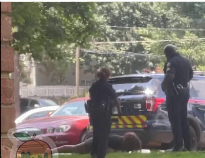 Atlanta Officers Suspended After Kicking Handcuffed Woman In The Face