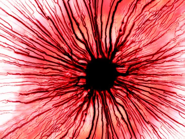 8 Types Of Sex Kinks No 4 And 8 Are Not For The Faint Of Heart